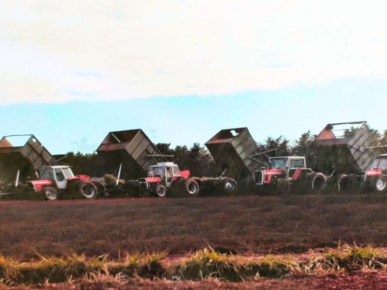 Gammans Story | Tauranga's Landscape Supplier Since 1964